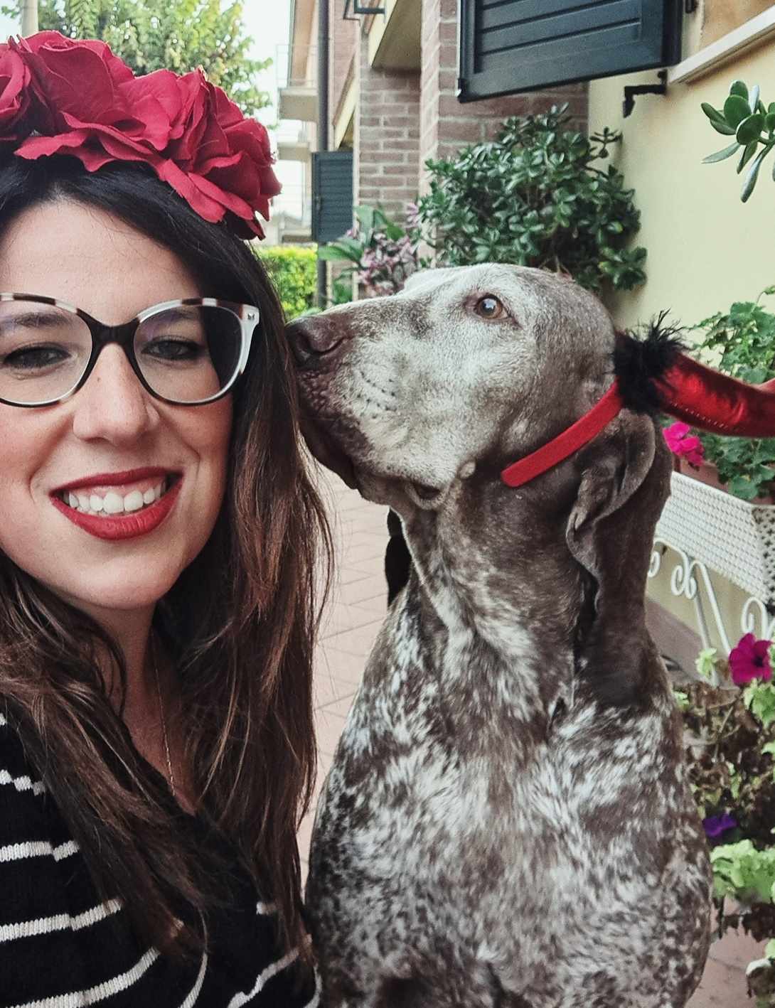 Come la caccia per il Bracco Italiano – BRACCHI REGGIANI